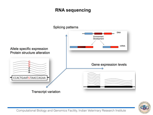 RNA Seq Data Analysis | PDF | Biotech and Biomedical Industry | Industries