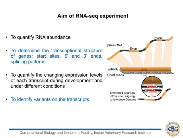 RNA Seq Data Analysis | PDF | Biotech and Biomedical Industry | Industries