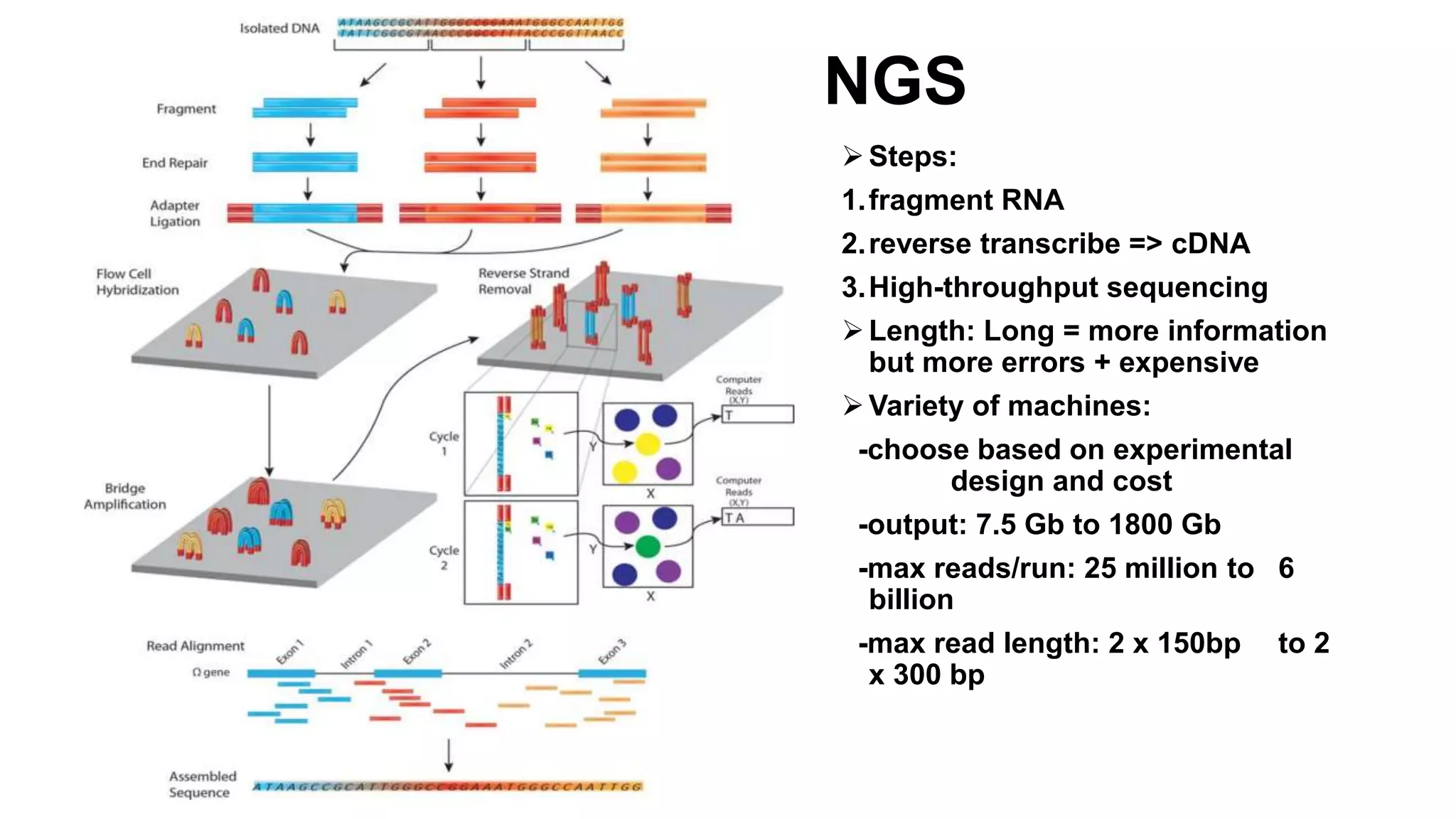 Rna seq | PPT