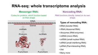 Rna seq | PPT