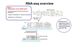 Rna seq | PPT