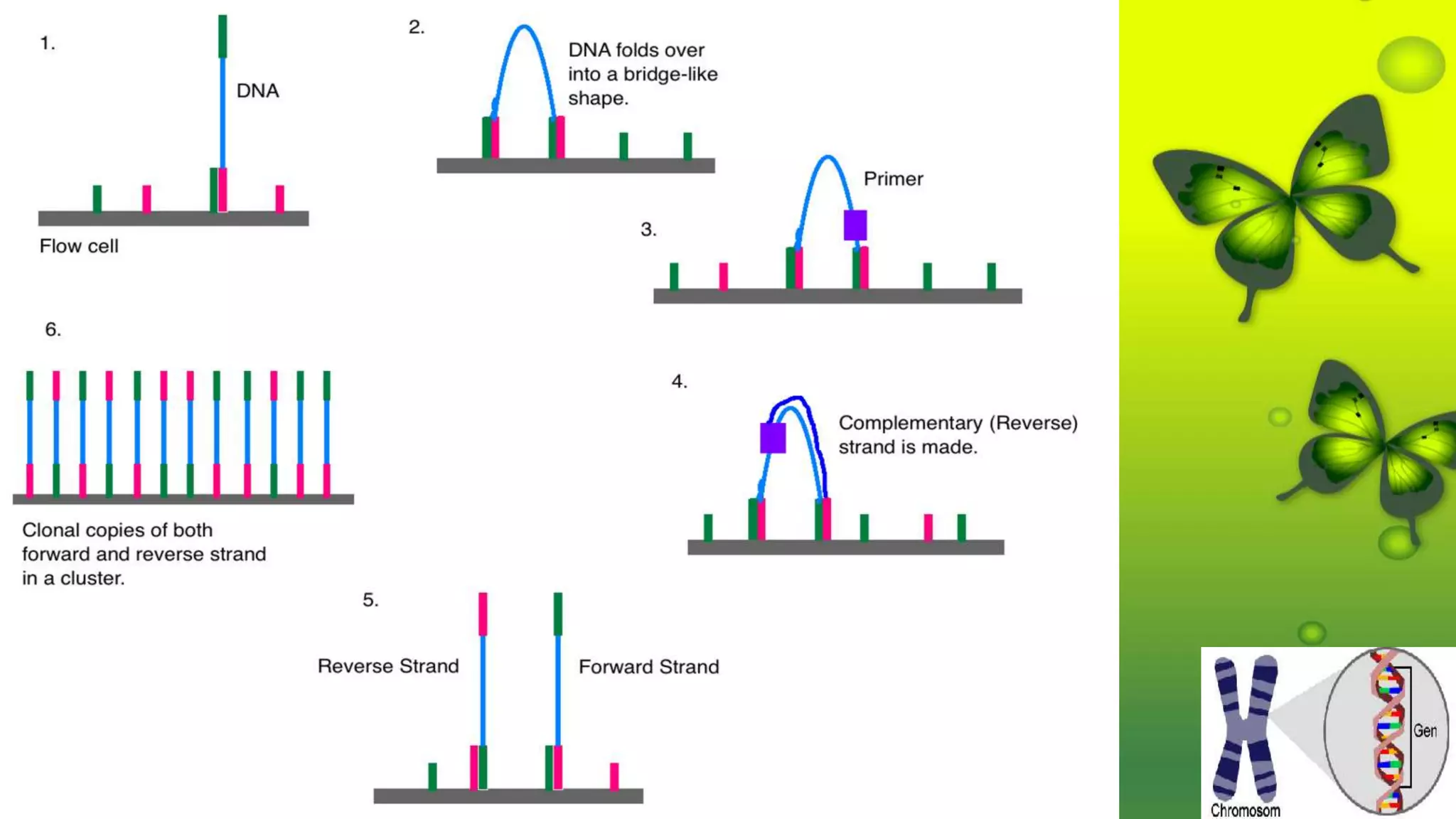 R na sequencing and its methods | PPTX
