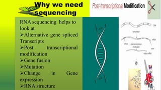 R na sequencing and its methods | PPT
