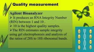R na sequencing and its methods | PPTX