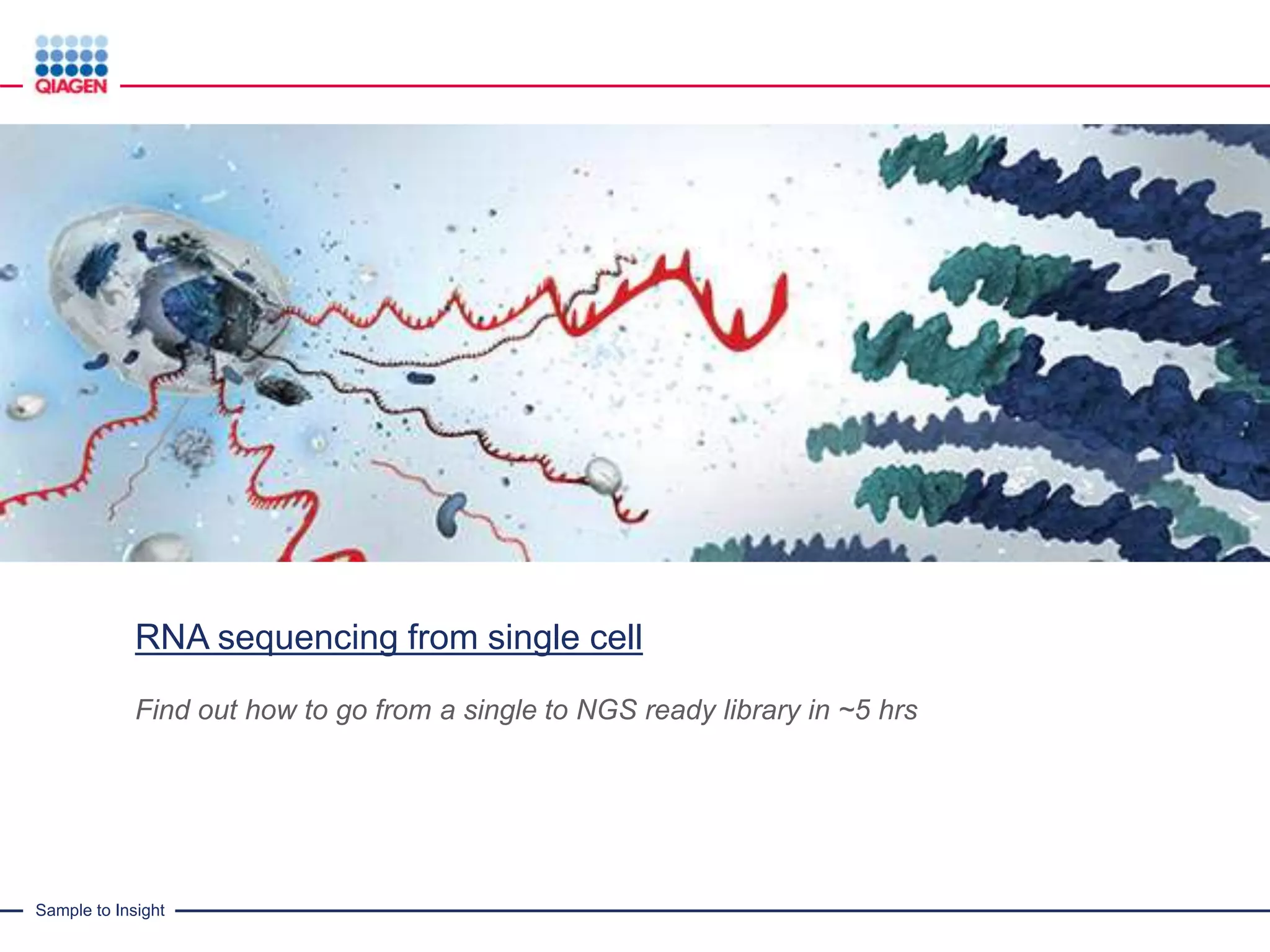 RNA Sequencing from Single Cell | PDF