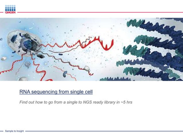 RNA Sequencing from Single Cell | PDF