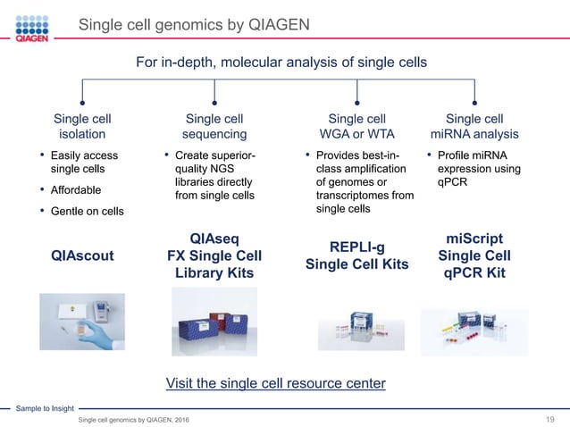 RNA Sequencing from Single Cell | PPT