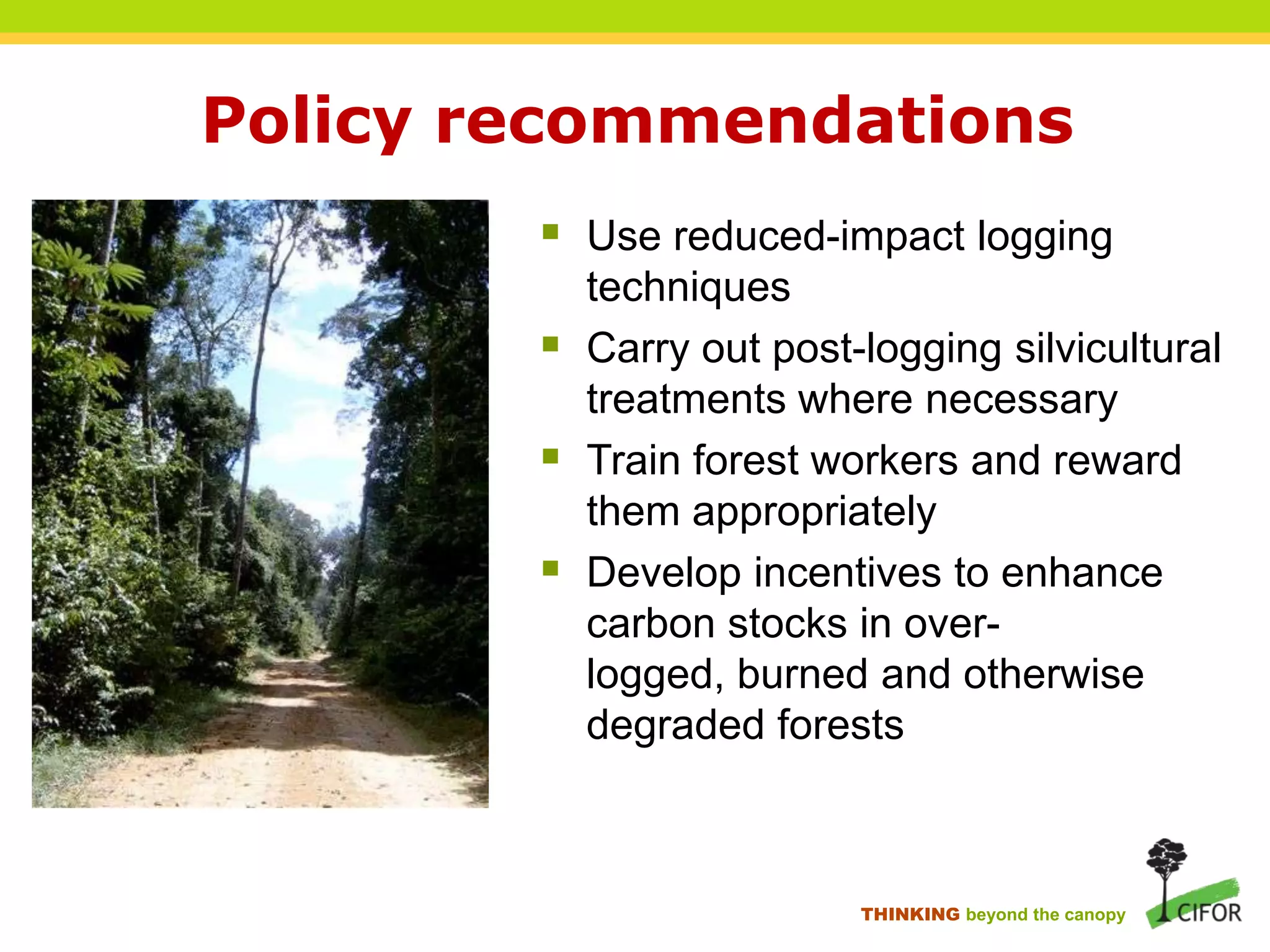 Sustainable forest management, biodiversity and carbon: The case for REDD+? | PPTX