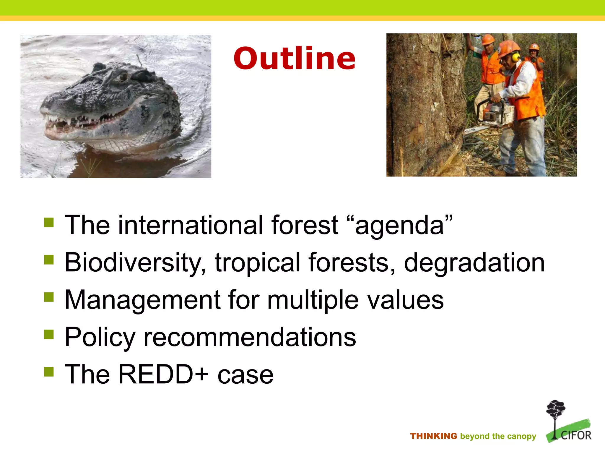 Sustainable forest management, biodiversity and carbon: The case for REDD+? | PPTX