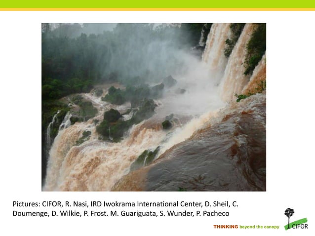 Sustainable forest management, biodiversity and carbon: The case for REDD+? | PPTX