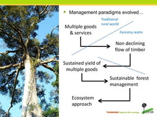 Sustainable forest management, biodiversity and carbon: The case for REDD+? | PPTX
