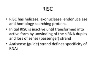 Rna silencing | PPTX