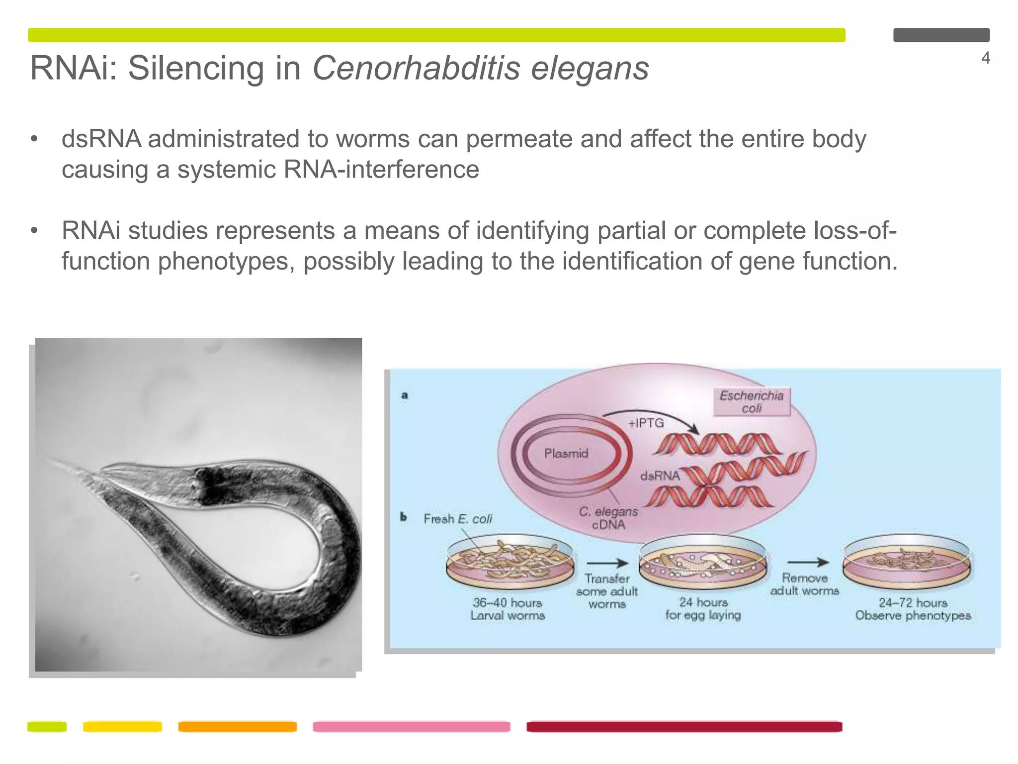 Silencing RNA techniques | PPTX