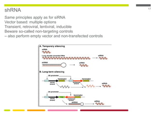 Silencing RNA techniques | PPTX