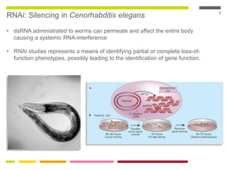 Silencing RNA techniques | PPTX
