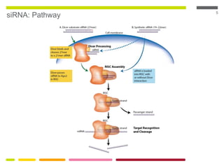 Silencing RNA techniques | PPTX