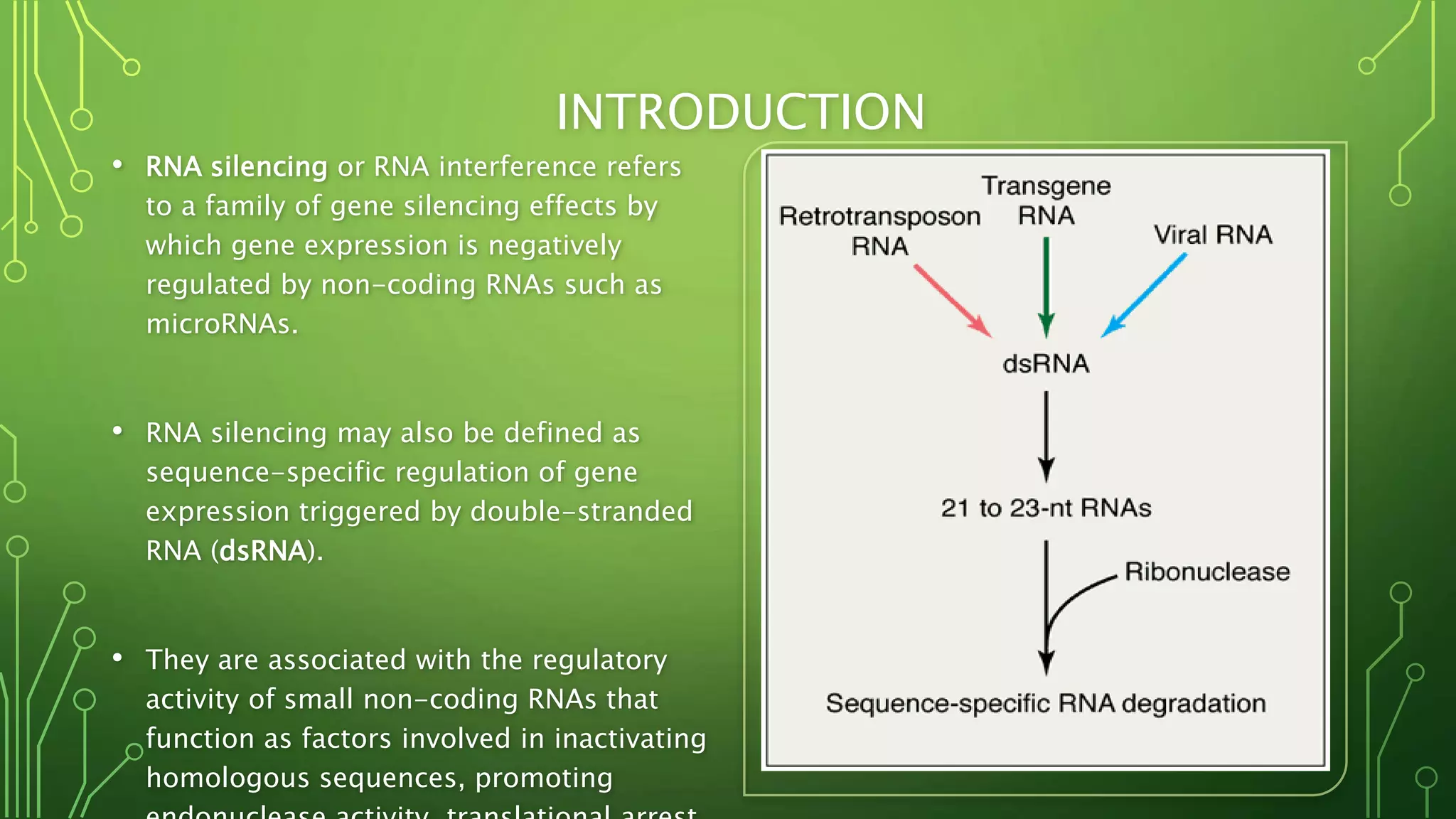 Rna silencing in plants | PPTX