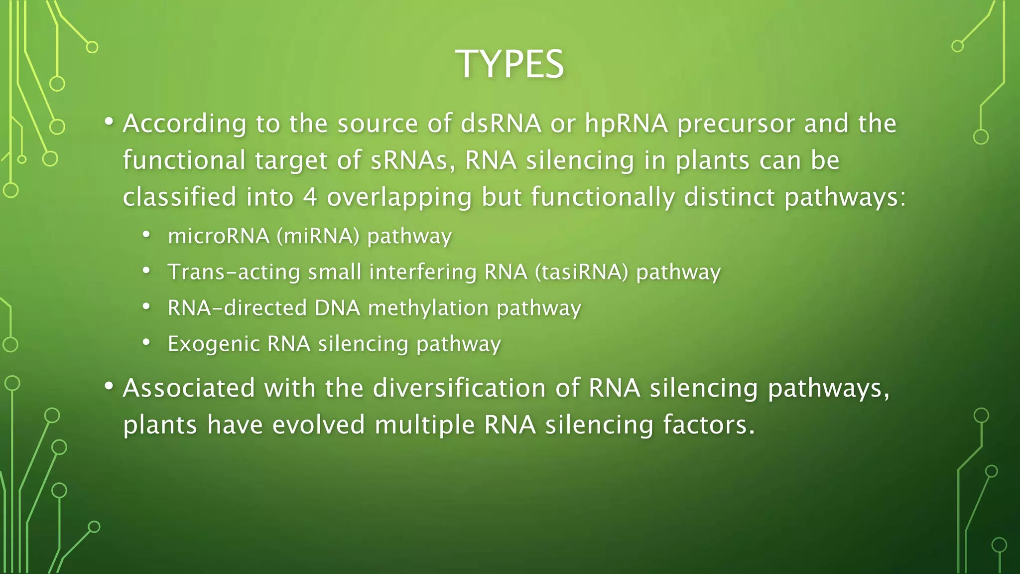 Rna silencing in plants | PPTX