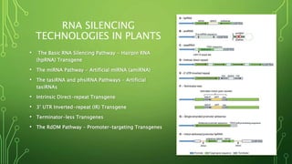 Rna silencing in plants | PPTX