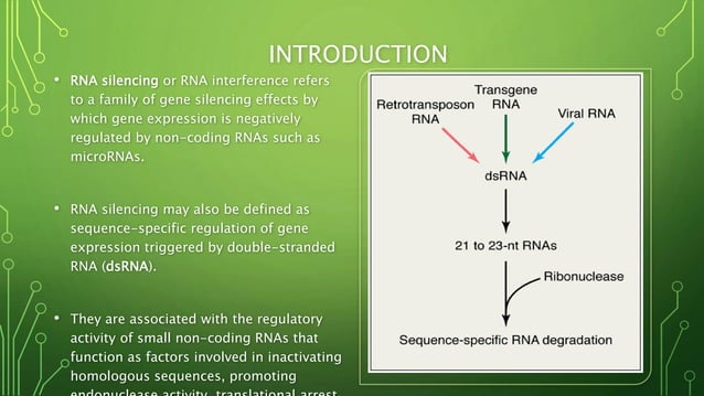 Rna silencing in plants | PPTX | Biotech and Biomedical Industry ...