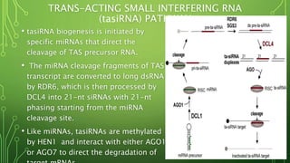 Rna silencing in plants | PPTX