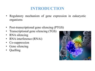 RNA GENE SILENCING AND SUPRESSORS IN PLANTS | PDF