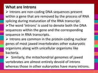RNA SPLICING | PPTX