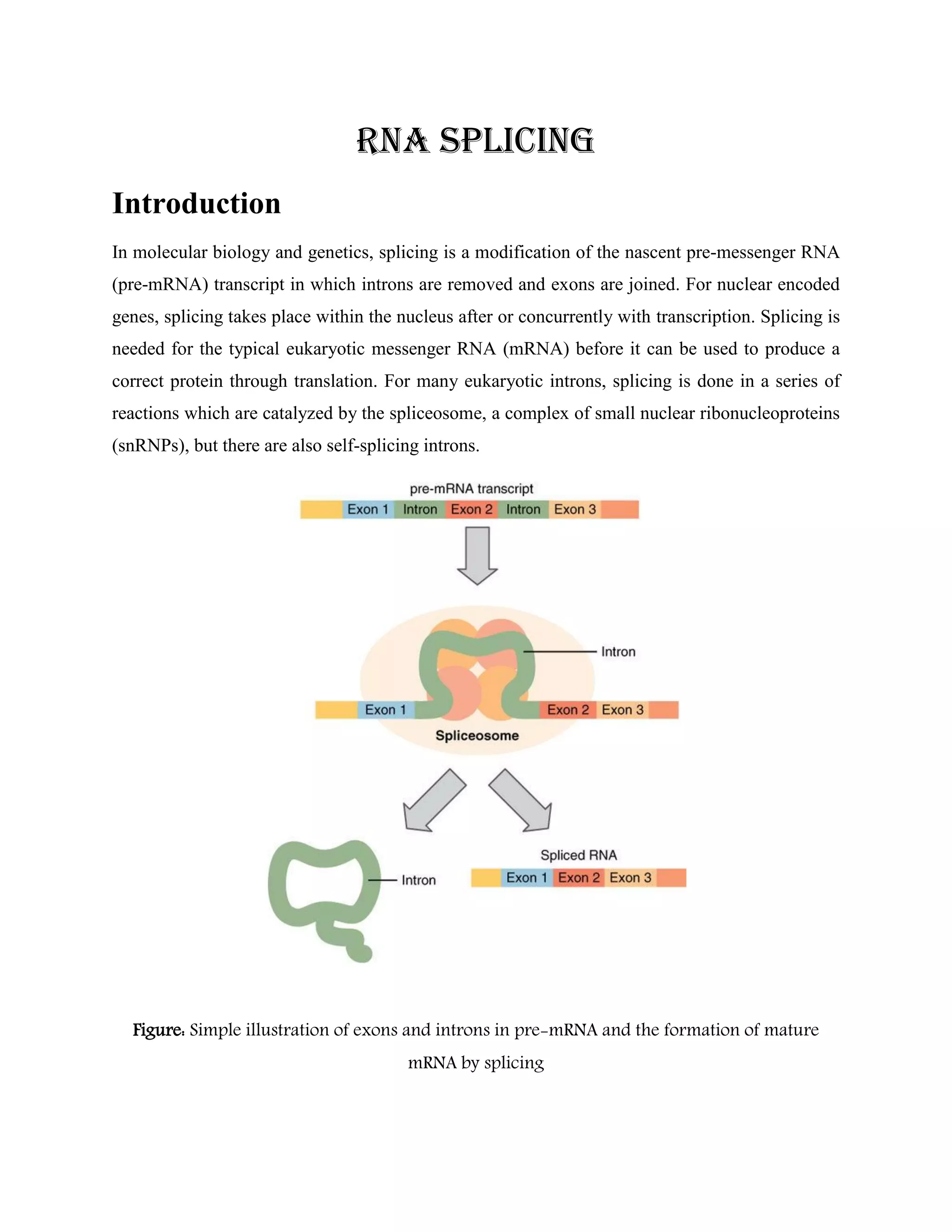 RNA Splicing | PDF