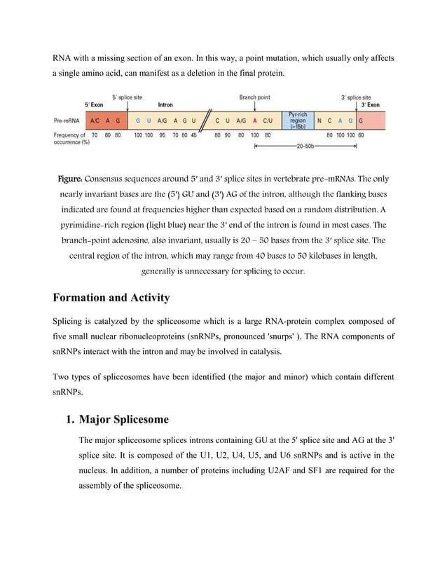 RNA Splicing | PDF | Chemistry | Science