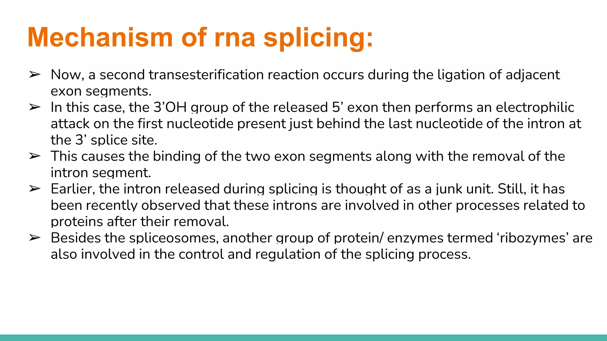 RNA Splicing presentation.pptx