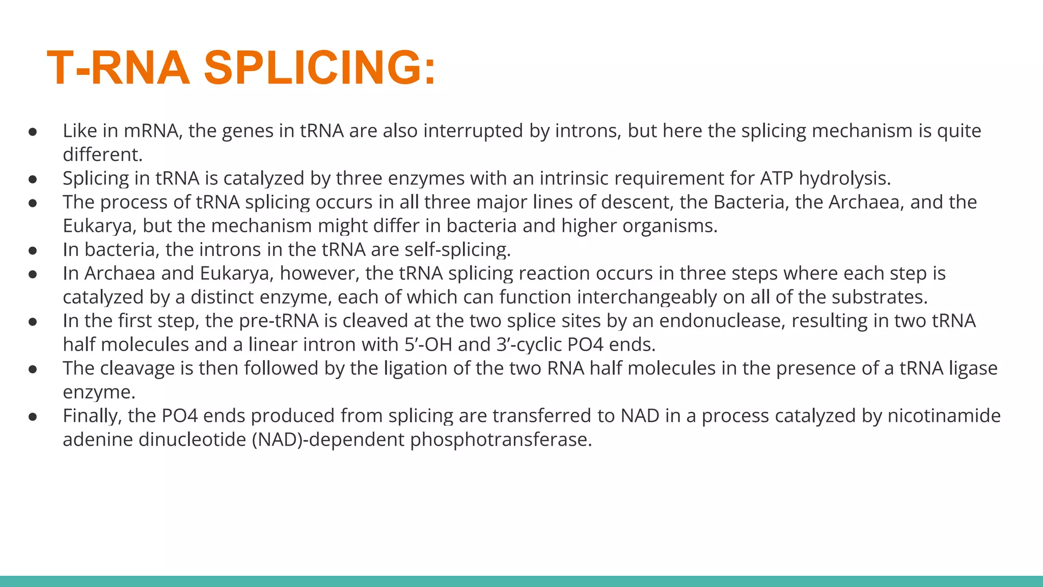 RNA Splicing presentation.pptx