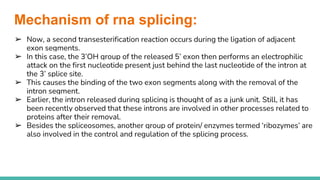 RNA Splicing presentation.pptx
