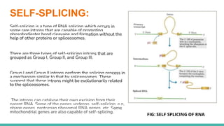 RNA Splicing presentation.pptx
