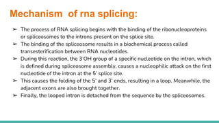 RNA Splicing presentation.pptx
