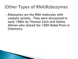 RNA Structure | PPTX