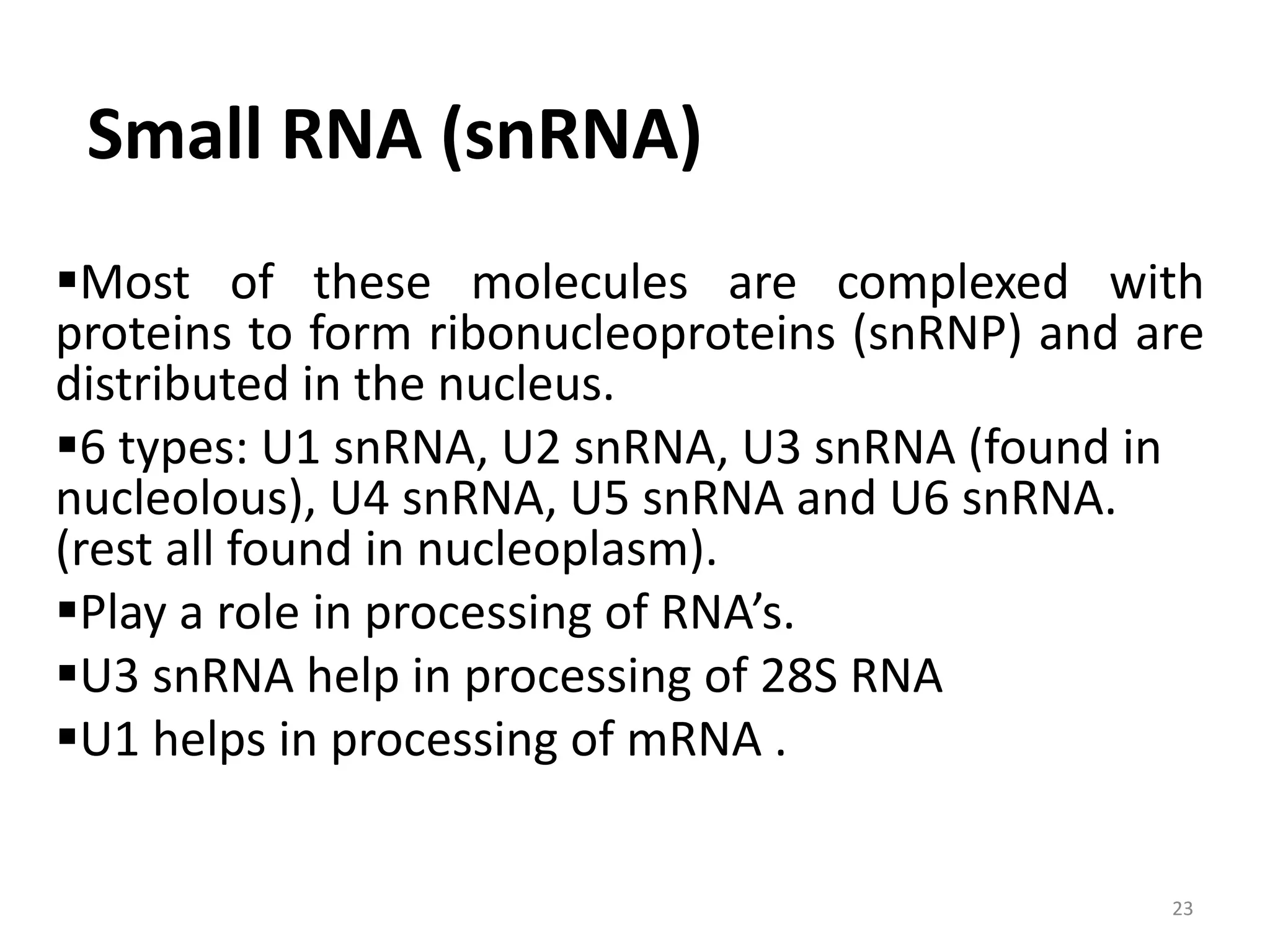 Rna structure | PPTX | Programming Languages | Computing
