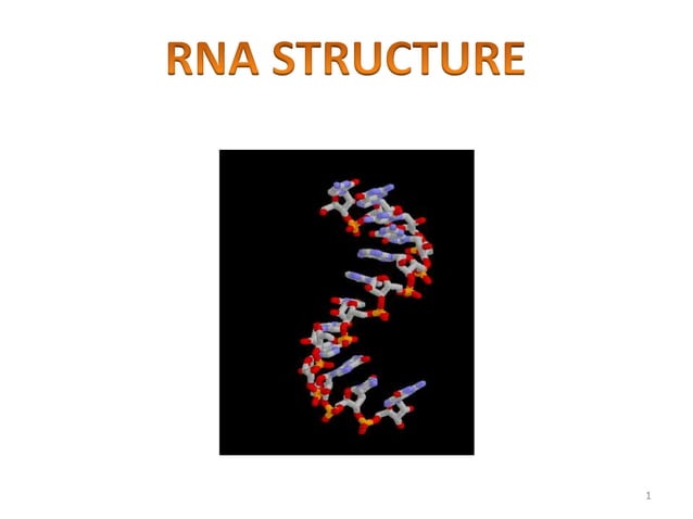 Rna structure | PPTX | Programming Languages | Computing