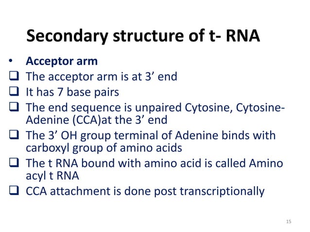 Rna structure | PPTX | Programming Languages | Computing