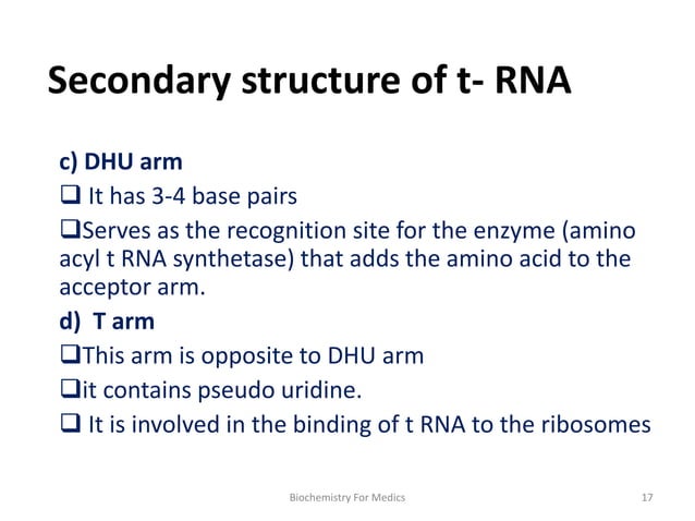 Rna structure | PPTX | Programming Languages | Computing