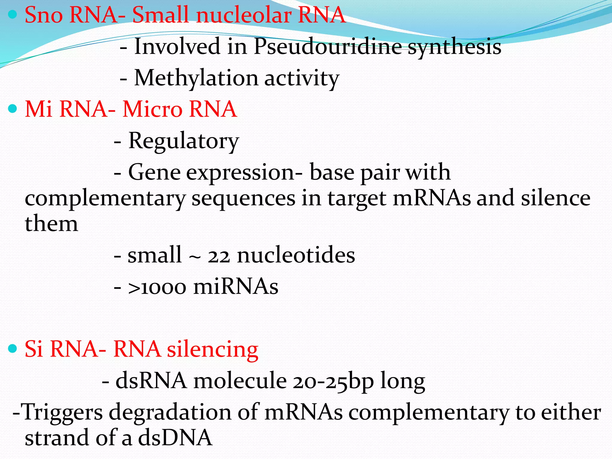 RNA structure | PPTX
