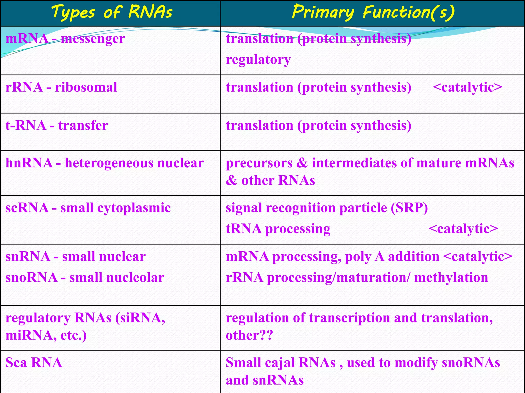 RNA structure | PPTX