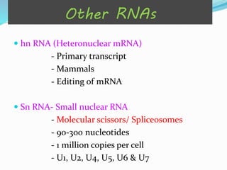 RNA structure | PPTX