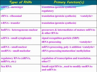 RNA structure | PPTX