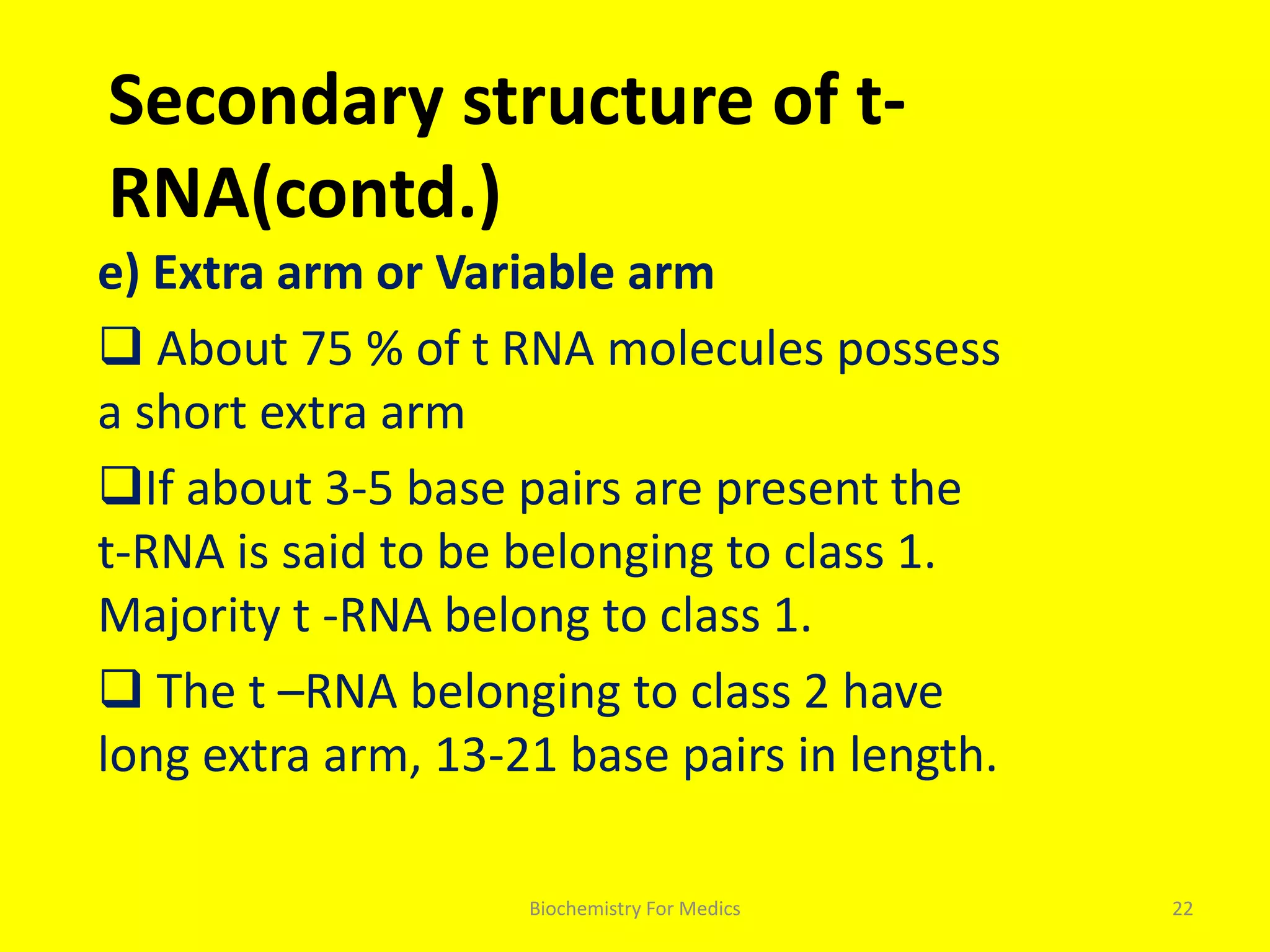 Rna Structure Ppt