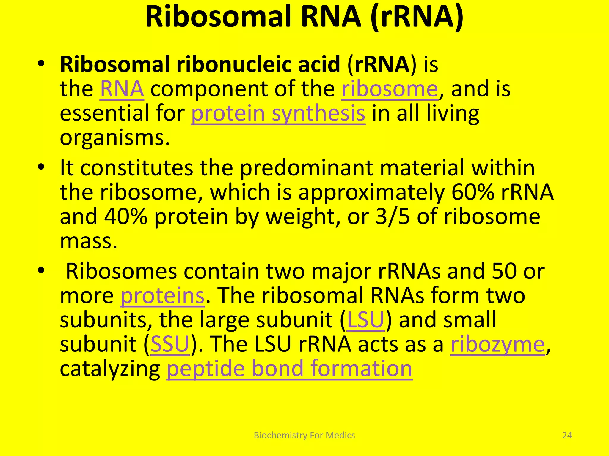 Rna Structure Ppt