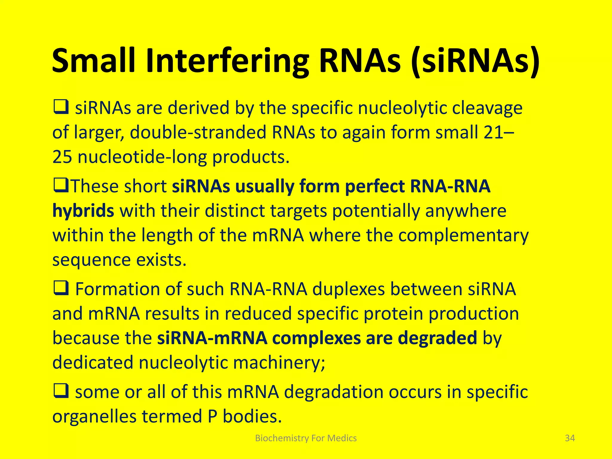 Rna Structure Ppt