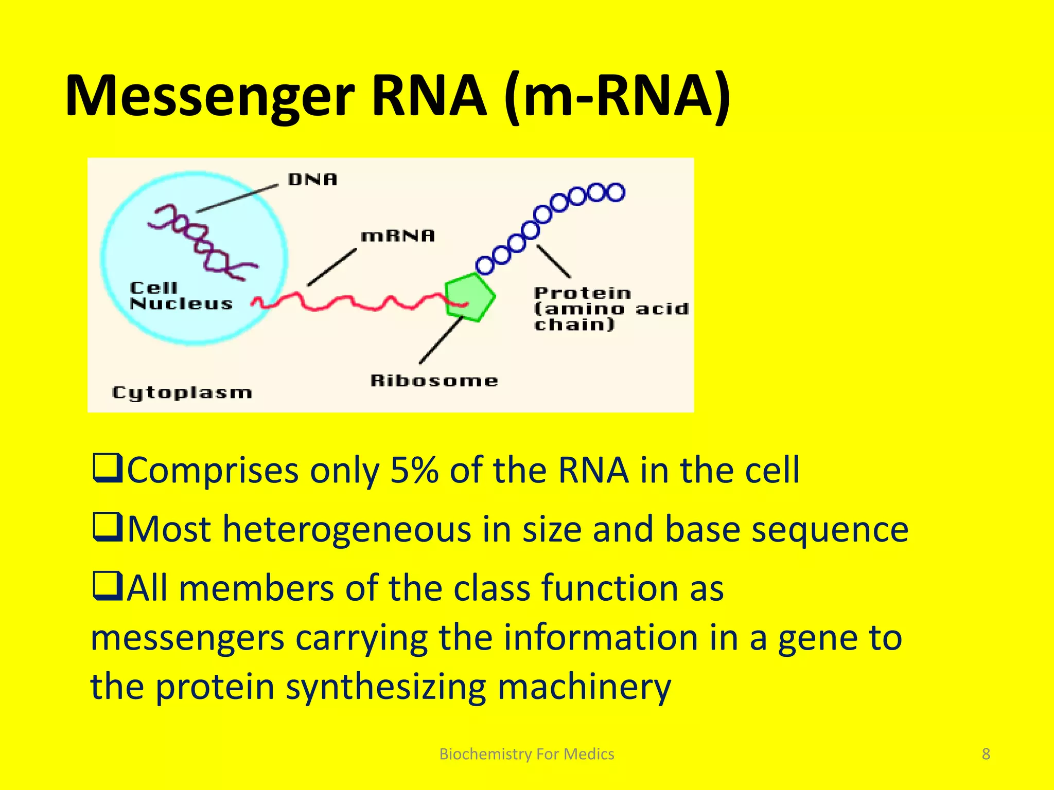 Rna structure | PPTX