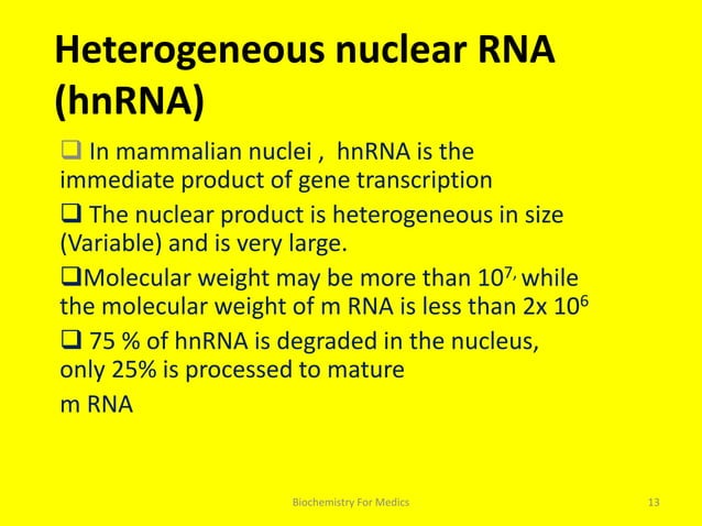 Rna Structure Ppt