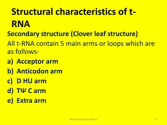 Rna Structure Ppt