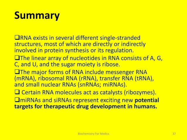 Rna Structure Ppt